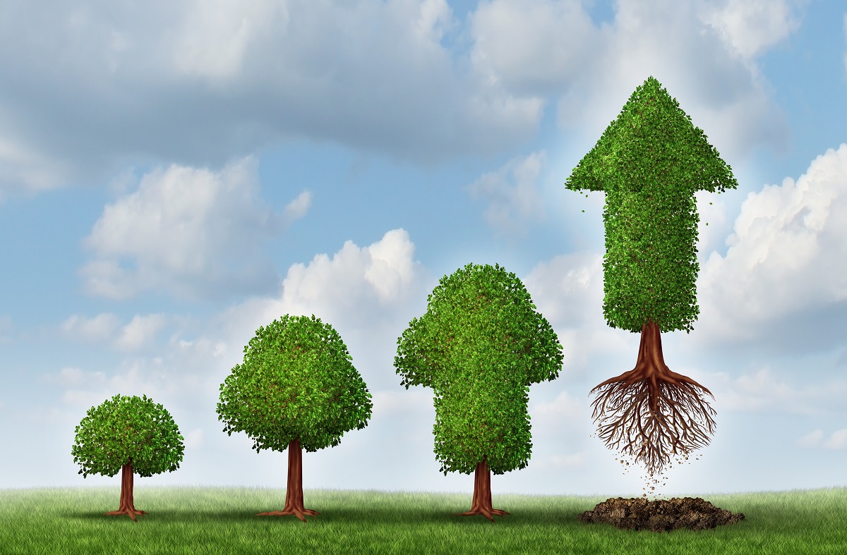 The Role of Profitability Analysis for FP&A – Simple and Yet (Seemingly ...